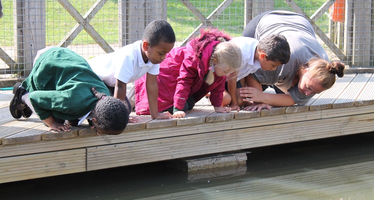 Salford pupils treated to new pond area thanks to Sigma donation ...