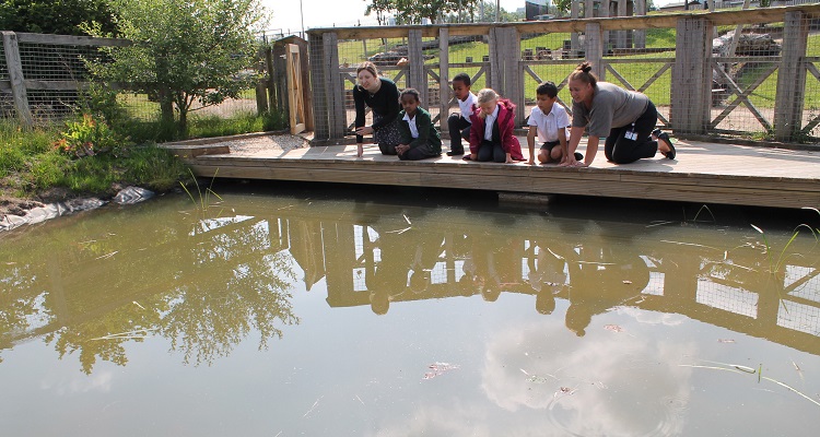 Salford pupils treated to new pond area thanks to Sigma donation ...