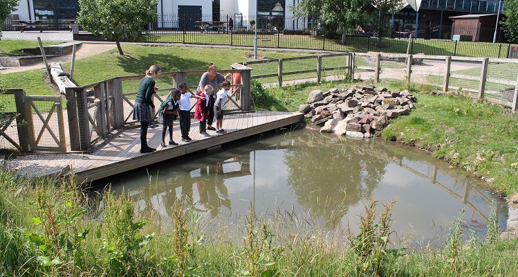 Salford pupils treated to new pond area thanks to Sigma donation ...