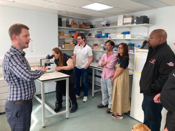 Sigma Capital Group | Private Rented Sector housing